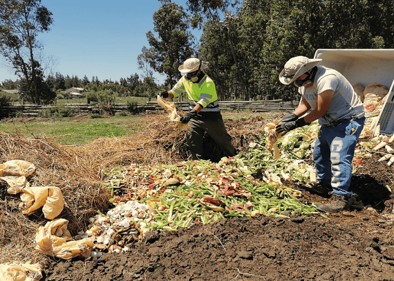 CIPA Chile - Ciencia e Investigación Sostenible